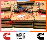 China QSM11 ISM11 M11 Engine injector 4307547 4928517 4903472 3411756 3080429 2080429 for sale