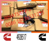 China QSM11 ISM11 M11 Engine injector 4307547 4928517 4903472 3411756 3080429 2080429 for sale