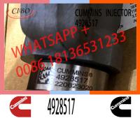China QSM11 ISM11 M11 Engine injector 4307547 4928517 4903472 3411756 3080429 2080429 for sale