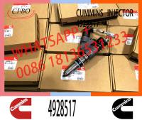 China QSM11 ISM11 M11 Engine injector 4307547 4928517 4903472 3411756 3080429 2080429 for sale