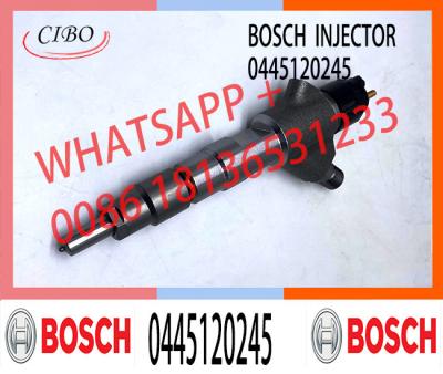 China diesel fuel injector nozzle 0445120245 factory supply common rail injector 0445120245 for GAZ SADKO diesel engine assemb for sale