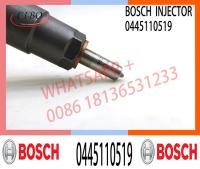 China Genuine Neutral New Common Rail Injector 0445110519 For Mercedes Benz / MITSUBISHI 4000700187 A4000700187 MX909965 for sale