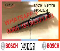 China Factory advantage supply diesel common rail injector assembly 0445120251 injector nozzle 0445120251 for sale