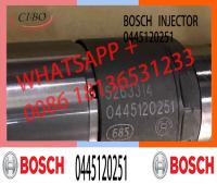 China Factory advantage supply diesel common rail injector assembly 0445120251 injector nozzle 0445120251 for sale