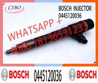China Diesel Engine Fuel Pump Injector Assemblies 0445120036 Common Rail Injector 0445120036 for sale