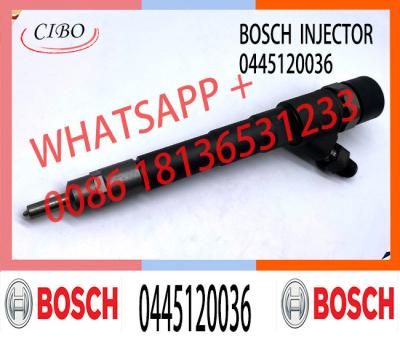 China Diesel Engine Fuel Pump Injector Assemblies 0445120036 Common Rail Injector 0445120036 for sale