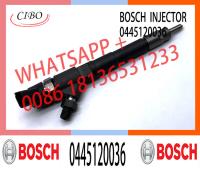China Diesel Engine Fuel Pump Injector Assemblies 0445120036 Common Rail Injector 0445120036 for sale