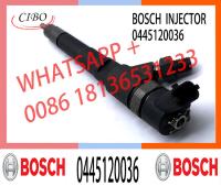China Diesel Engine Fuel Pump Injector Assemblies 0445120036 Common Rail Injector 0445120036 for sale