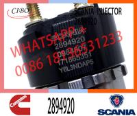 China Brand New Diesel Common Rail Fuel Injector 2086663 1933613 1881565 2894920 For ISX SCANIA for sale