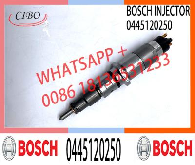 China High quality engine common rail injector nozzle 0445120250 for sale