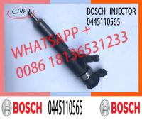 China 0445110564 Diesel Fuel Injector 0445110565 0445110566 9802776680 Common Rail Injector 0 445 110 564 0 445 110 565 0 445 for sale