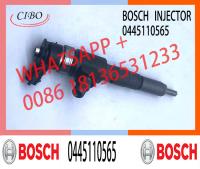 China 0445110564 Diesel Fuel Injector 0445110565 0445110566 9802776680 Common Rail Injector 0 445 110 564 0 445 110 565 0 445 for sale