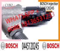 China Common Rail Fuel Injector 0 445 120 245 Injector Nozzle 201149061 0445120245 For  GAZ SADKO  Engine Car for sale