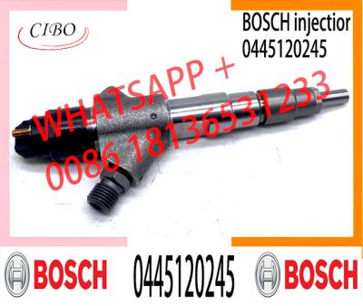 China Common Rail Fuel Injector 0 445 120 245 Injector Nozzle 201149061 0445120245 For  GAZ SADKO  Engine Car for sale