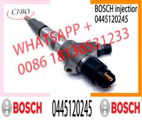 China Common Rail Fuel Injector 0 445 120 245 Injector Nozzle 201149061 0445120245 For  GAZ SADKO  Engine Car for sale