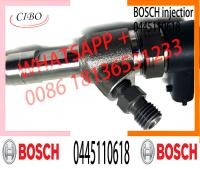 China 0 445 110 620 0445110621 Injector 0 445 110 618 0445110620 Injector Pump Diesel 0 445 110 621 0445110618 for sale