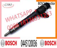 China Diesel Engine Fuel Pump Injector Assemblies 0445120036 0986435507 504086469 Common Rail Injector 0445120036 for sale