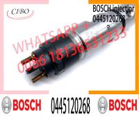 China Excavator Parts DX140 DL06C Common Rail Injector 65.10401-7004A 0445120080 0445120268 for sale