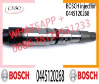 China Excavator Parts DX140 DL06C Common Rail Injector 65.10401-7004A 0445120080 0445120268 for sale