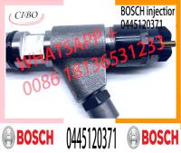 China High Performance Truck Diesel Engine Parts Common Rail Fuel Injector 0445120520 0445120371 for sale
