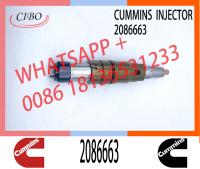 China Diesel Common Rail Fuel Injector 1948565 2030519 2031836 2031835 2086663 2419679 2086663 2057401 for sale