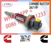 China Marine Diesel Engine QSK19 QSK38 QSK60 Fue Injector 2867147 F00BJ00001 for sale