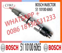 China China Made New 0445120098 diesel auto fuel injection 0 445 120 098 for 120 # CRIN2-16 51 10100 6065 Diesel Engine for sale