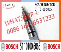 China China Made New 0445120098 diesel auto fuel injection 0 445 120 098 for 120 # CRIN2-16 51 10100 6065 Diesel Engine for sale