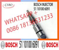 China New 0445120131 Trailer injector 0 445 120 131 for 51 10100 6091 D 2868 LF02 Diesel Engine for sale