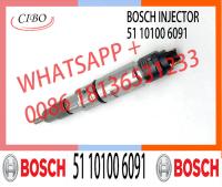 China New 0445120131 Trailer injector 0 445 120 131 for 51 10100 6091 D 2868 LF02 Diesel Engine for sale