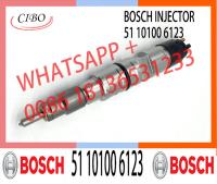 China New 0445120197 0 445 120 197 Fuel Injectors For Sale for 51 10100 6123 D 2066 LUH32 Diesel Engine for sale