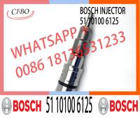 China High Quality China Made New 0 445 120 218 Fuel Injector Assembly CRIN2-16 for 51 10100 6125 D 2066 LOH12 Diesel Engine for sale