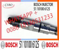 China High Quality China Made New 0 445 120 218 Fuel Injector Assembly CRIN2-16 for 51 10100 6125 D 2066 LOH12 Diesel Engine for sale