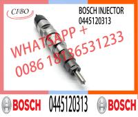 China High quality common rail diesel fuel injector 0445120313 with nozzle DLLA145P2287 for sale