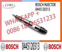 China High quality common rail diesel fuel injector 0445120313 with nozzle DLLA145P2287 for sale