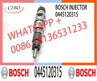 China 0445120315 Hot selling high performance common rail diesel injector 0445120315 for sale