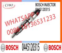 China 0445120315 Hot selling high performance common rail diesel injector 0445120315 for sale