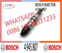 China New Diesel Engine Fuel Injector 0445120112 0445120120 0445120136 Common Rail Injector 875 815 65 4 945 807 74 21 006 086 for sale