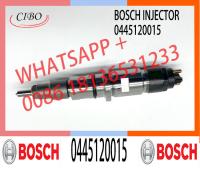 China High Quality Diesel Injector 0445120015 Common Rail Disesl Injector 0445120015 for sale