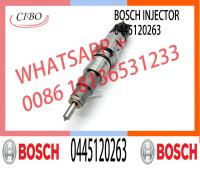 China Common Rail Injector 0445120265 Diesel Fuel Engine Injector Assemblies 0445120262 0445120263 for sale