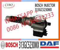 China Injector Pump 313GC5230M 313GC5230MX For DAF XF95 95XF 480 CF75/85 for sale