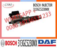 China Injector Pump 313GC5230M 313GC5230MX For DAF XF95 95XF 480 CF75/85 for sale