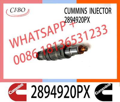 China Diesel common rail Fuel Injector 2894920PX 2894920 for sale