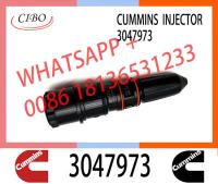 China Fuel Injector 3047973 3030445 Diesel Engine Parts for NH/NT855 NT495 NT743 NTA855 for sale