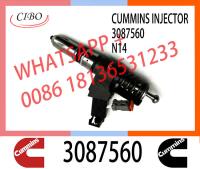 China Cummis N14 Fuel Injector 4307795 3087733 3095086 3411691 3411759 3411764 3411765 3411766 4307516 3083846 3087560 for sale