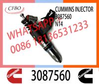 China Cummis N14 Fuel Injector 4307795 3087733 3095086 3411691 3411759 3411764 3411765 3411766 4307516 3083846 3087560 for sale