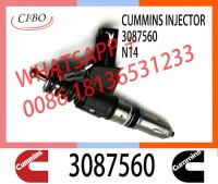 China Cummis N14 Fuel Injector 4307795 3087733 3095086 3411691 3411759 3411764 3411765 3411766 4307516 3083846 3087560 for sale