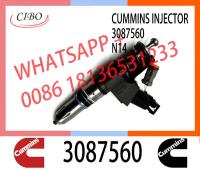 China Cummis N14 Fuel Injector 4307795 3087733 3095086 3411691 3411759 3411764 3411765 3411766 4307516 3083846 3087560 for sale