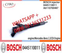 China Diesel Common Rail Injector 0445110009 0445110010 0445110011 0445110012 A6110700587 A6110700487 for Mercedes-Benz 2.2CDi for sale