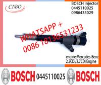 China Diesel Common Rail Injector 0445110024 0445110025 0986435029 098643502 A6110700687for Mercedes-Benz 2.0CDi/2.2CDi/2.7CDi for sale